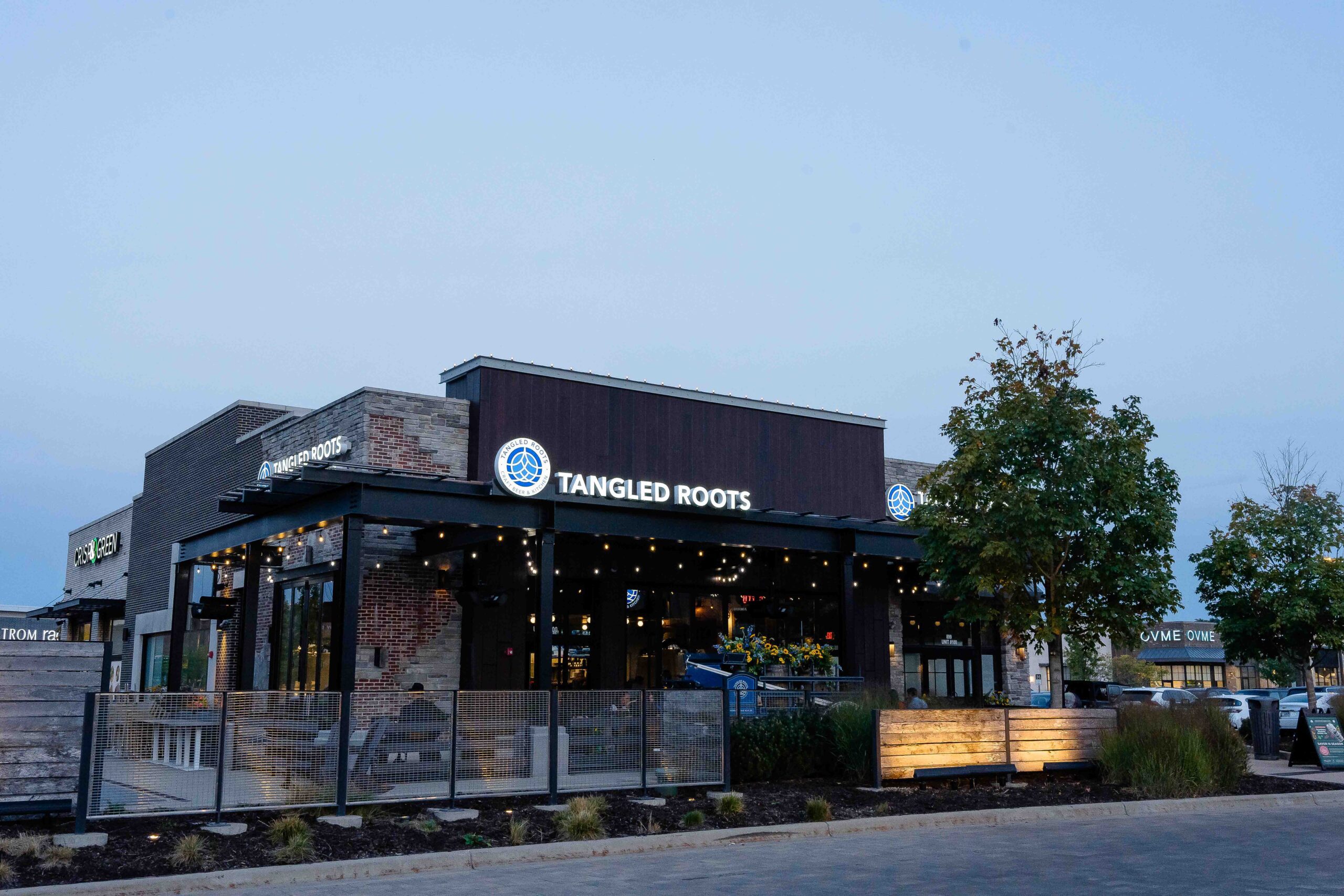 Tangled Roots - JIHOPHOTO